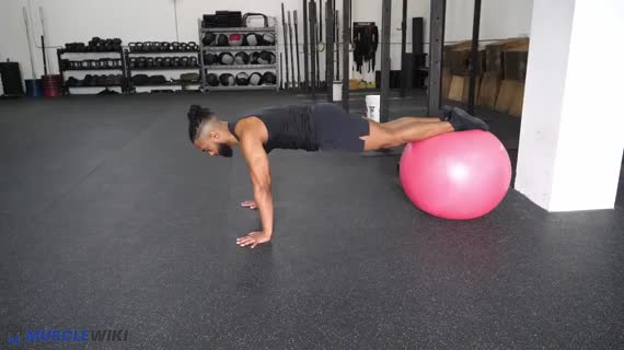 MuscleWiki - Stability Ball Push Up - Chest