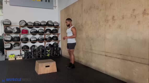 Guía de Ejercicio Toe Tap - Entrenamiento de Abdominals | MuscleWiki