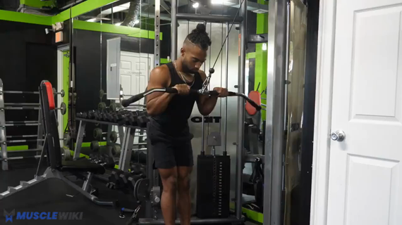 MuscleWiki - Simplify your workout