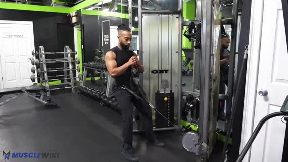 MuscleWiki - Simplify your workout