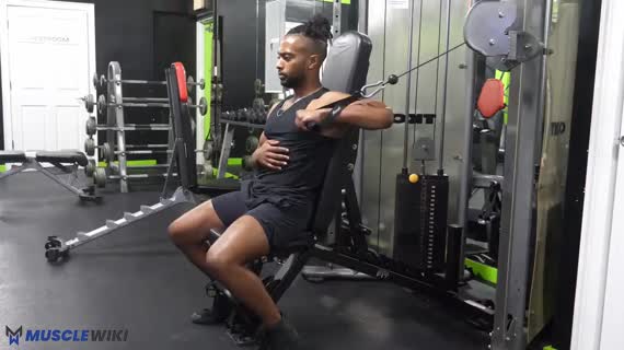 MuscleWiki - Simplify your workout