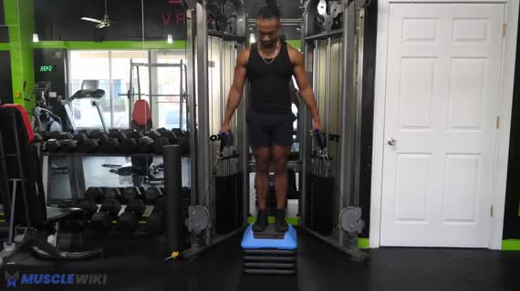 MuscleWiki - Cable Elevated Deadlift - Hamstrings