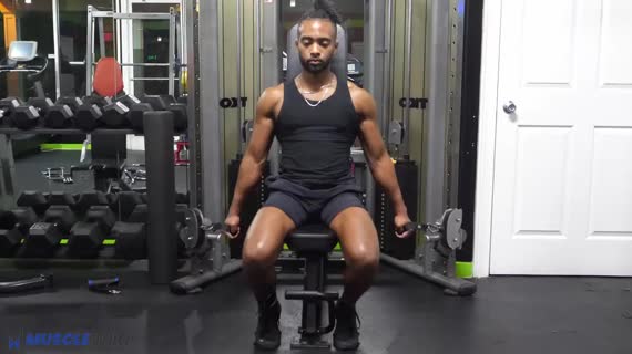Seated Dumbbell Hammer Curls