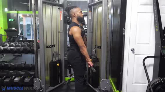 MuscleWiki - Cable Upright Row - Shoulders