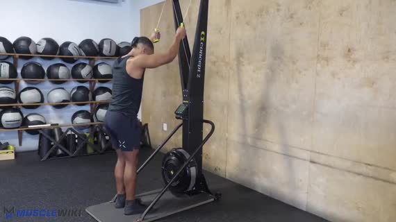 MuscleWiki - Simplify your workout