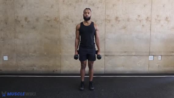 Guia do Exercício Dumbbell Alternating Reverse Lunge - Treino Glutes ...