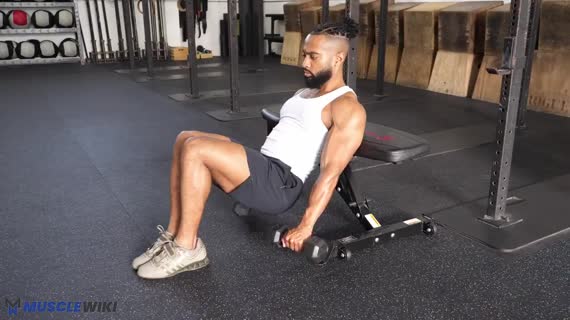 MuscleWiki - Dumbbell Bench Braced Reverse Incline Curl - Biceps