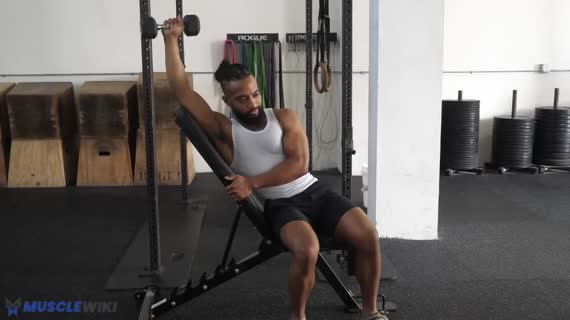 MuscleWiki - Dumbbell Bench Braced Single Arm Overhead Tricep Extension ...