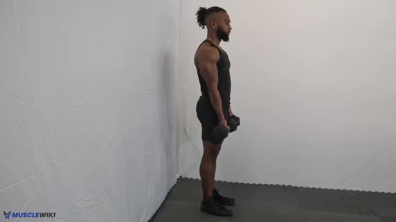 Musclewiki MuscleWiki Hand Side Dumbbell Work Shop For