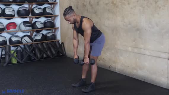 Dumbbell Shrug Barbell Shrugs Fitness Exercise Workout Animation