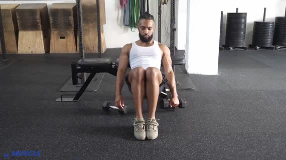 MuscleWiki - Dumbbell Single Arm Bench Braced Reverse Incline Curl - Biceps