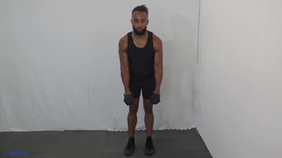MuscleWiki - Dumbbell Standing Bayesian Lateral Raise - Shoulders