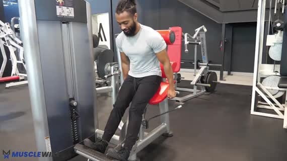 Lower Back Extension Back Extensions | Illustrated Exercise Guide