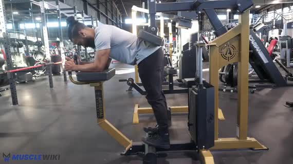 Machine Donkey Calf Raise Exercise Guide - Calves Workout | MuscleWiki
