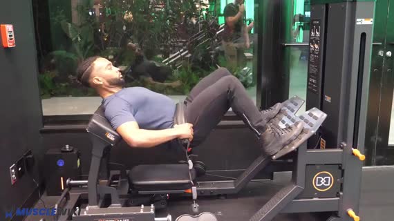 MuscleWiki - Machine Hip Thrust - Glutes