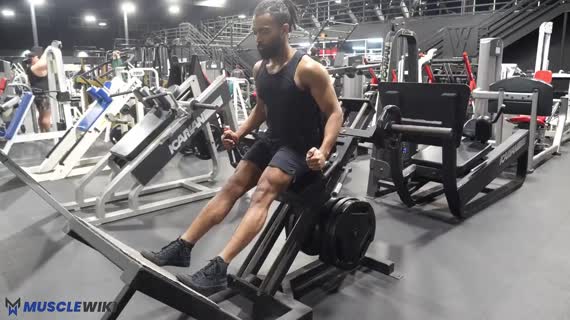 MuscleWiki - Machine Plate Loaded Calf Raise - Calves