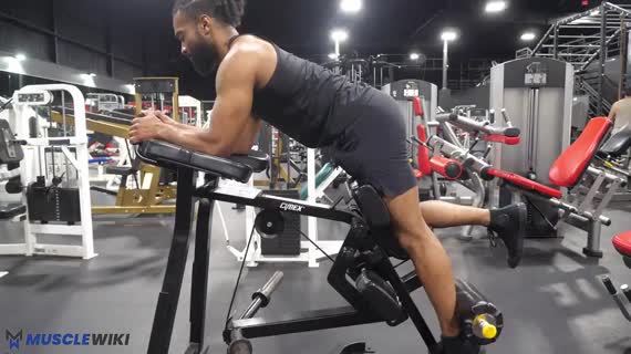 MuscleWiki - Simplify your workout