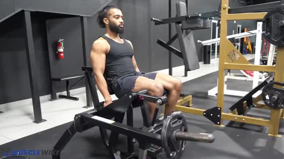 MuscleWiki - Machine Plate Loaded Leg Extension - Quads