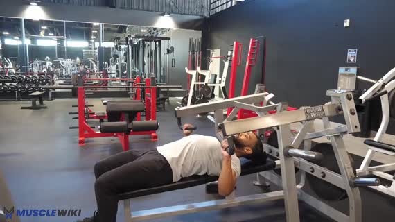 MuscleWiki - Machine Plate Loaded Low Incline Bench Press - Chest