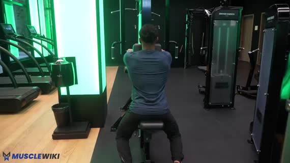 MuscleWiki - Machine Reverse Fly - Posterior Deltoid