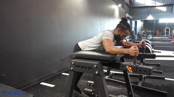 Reverse Hyperextension Pro Series Plate Loaded, Reverse Hyperextension