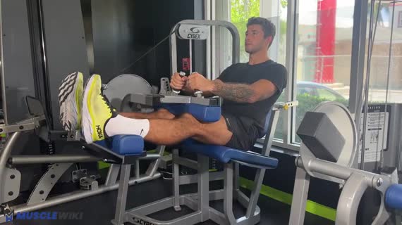 Machine Seated Hamstring Curl Exercise Guide - Hamstrings Workout | MuscleWiki