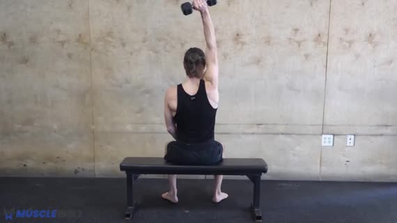 MuscleWiki - Elbow Extensor Isometric Seated Overhead Dumbbell - Triceps