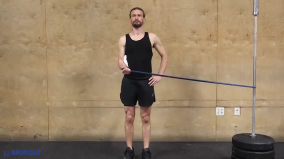 MuscleWiki - Rotator Cuff External Rotations 1