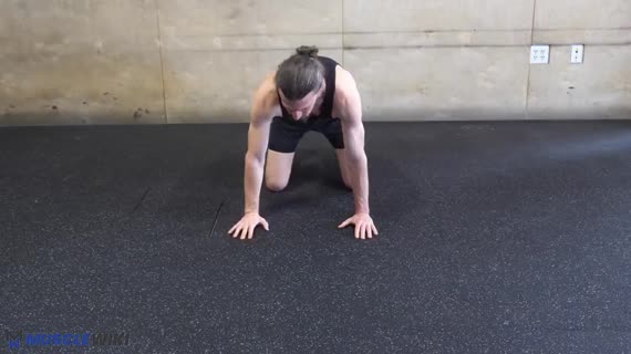 MuscleWiki - Serratus Activation Plank - Chest