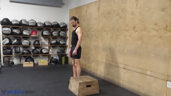 Side Step On And Off Box Exercise Guide - Glutes Workout | MuscleWiki
