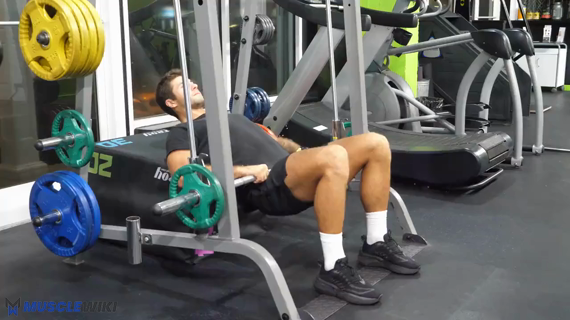 MuscleWiki - Simplify your workout