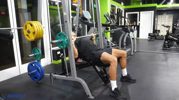 MuscleWiki - Simplify your workout