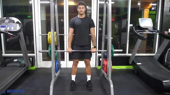 MuscleWiki - Simplify your workout | 2000+ Free Exercise Videos & Guides