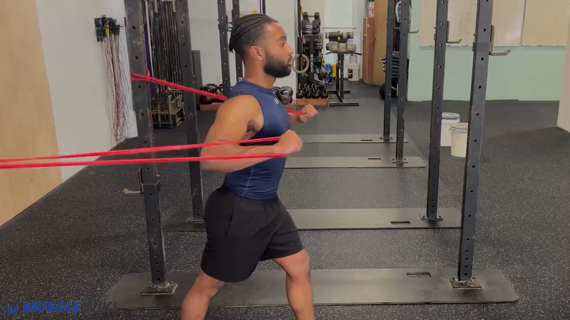 MuscleWiki - Simplify your workout