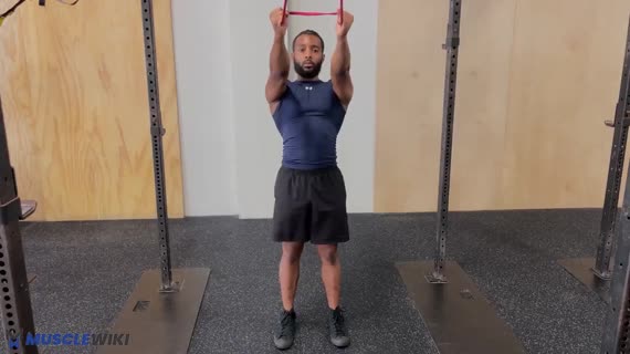 MuscleWiki - Band High Hammer Curl - Biceps