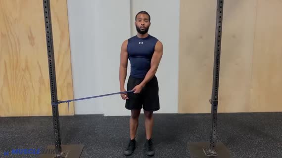 MuscleWiki - Band Mid Lateral Raise - Shoulders