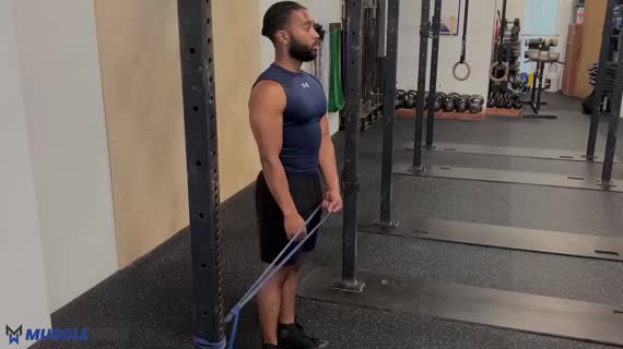 MuscleWiki - Simplify your workout