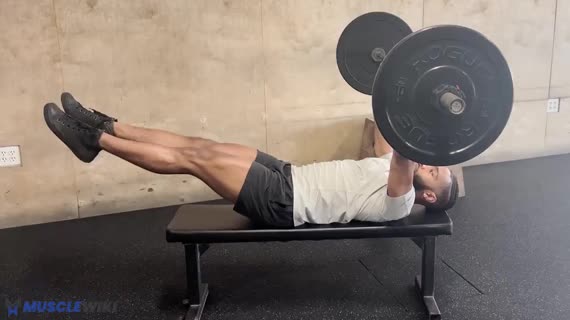 MuscleWiki - Simplify your workout