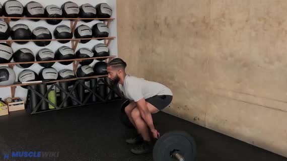 MuscleWiki - Simplify your workout