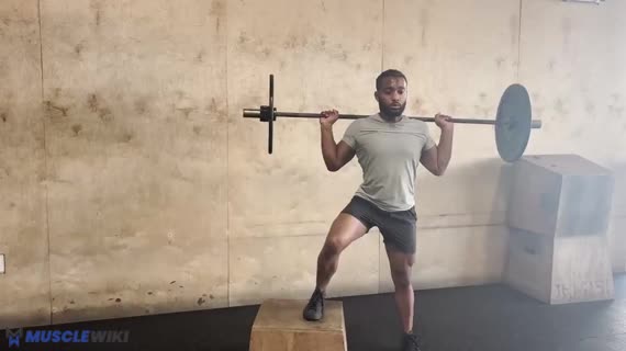 MuscleWiki - Barbell Side Step Up - Glutes