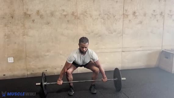 MuscleWiki - Barbell Snatch Grip Deadlift - Glutes