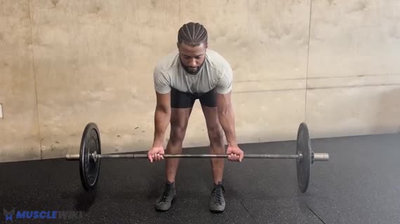 MuscleWiki - Barbell Supinated Row - Lats