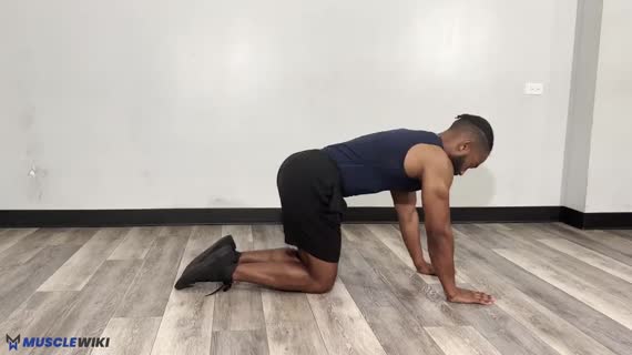 Musclewiki MuscleWiki Hand Side Dumbbell Work Shop For