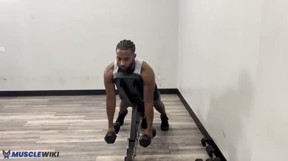 MuscleWiki - Dumbbell Laying Silverback Shrug - Traps (mid-back)