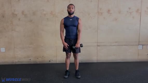 MuscleWiki - Dumbbell Single Arm Upright Row - Shoulders