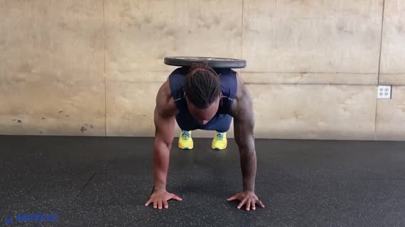 MuscleWiki - Simplify your workout