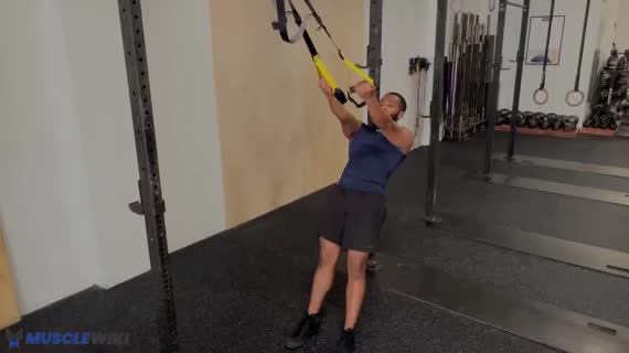 TRX Curl Exercise Guide - Biceps Workout | MuscleWiki