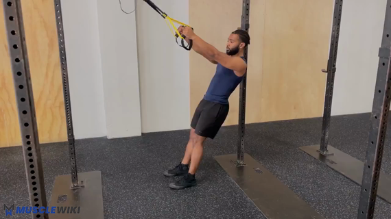 MuscleWiki - Simplify your workout