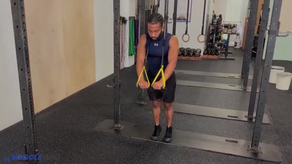 MuscleWiki - TRX Pushup - Anterior Deltoid