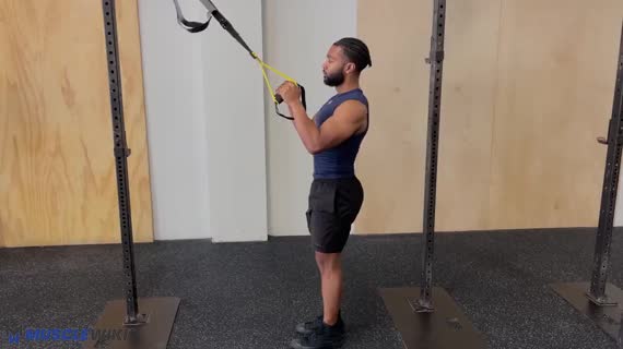 MuscleWiki - Simplify your workout